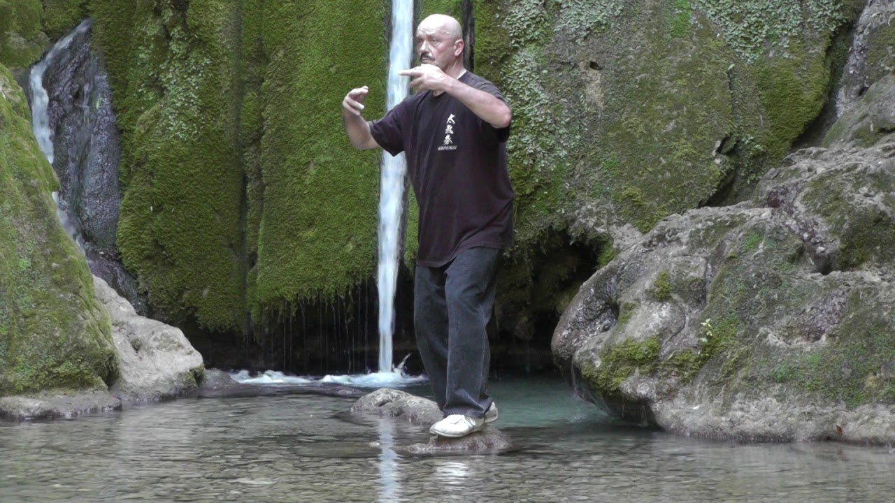 Ritsu Zen & Han Zen - posture de l'arbre et posture de côté - YouTube