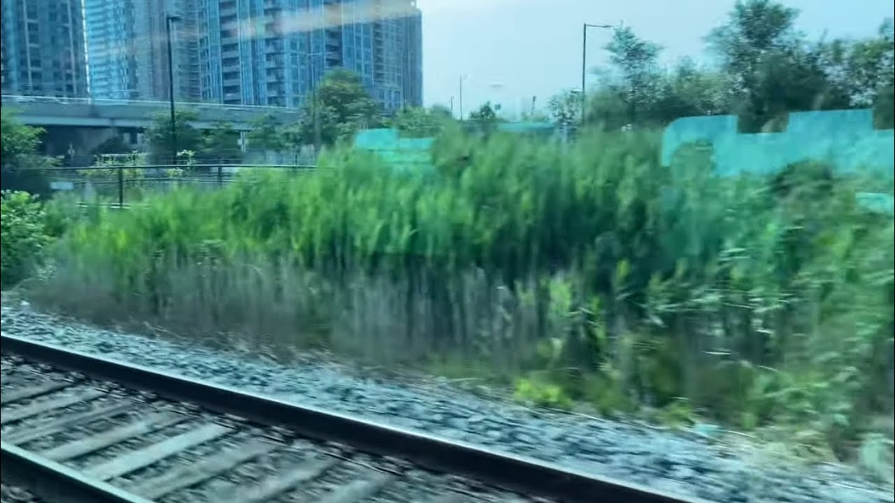 Milton Line GO Train Ride: Union to Milton - YouTube