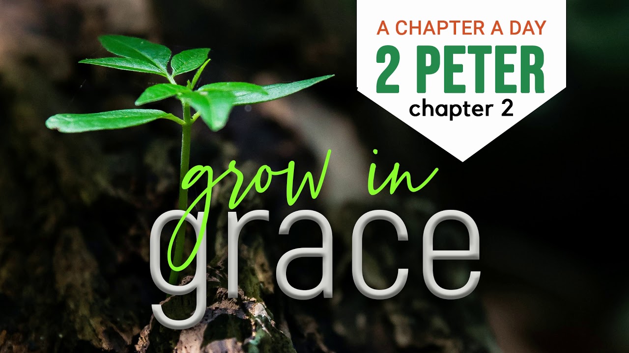 2 PETER Chapter 2 YouTube