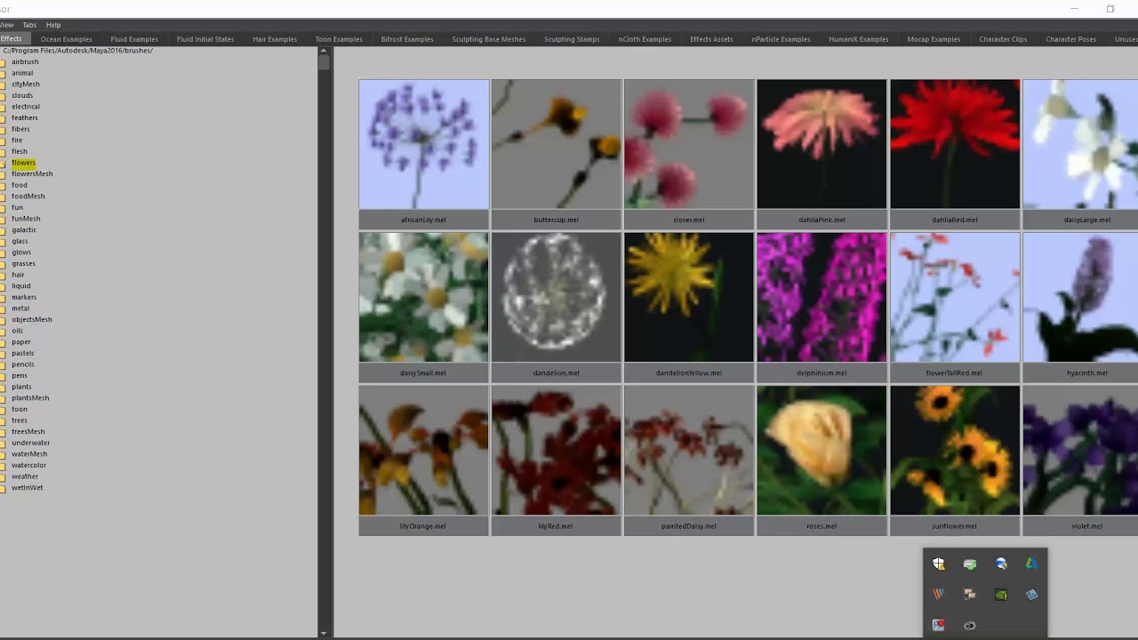 Maya Flower Growing Animation - YouTube
