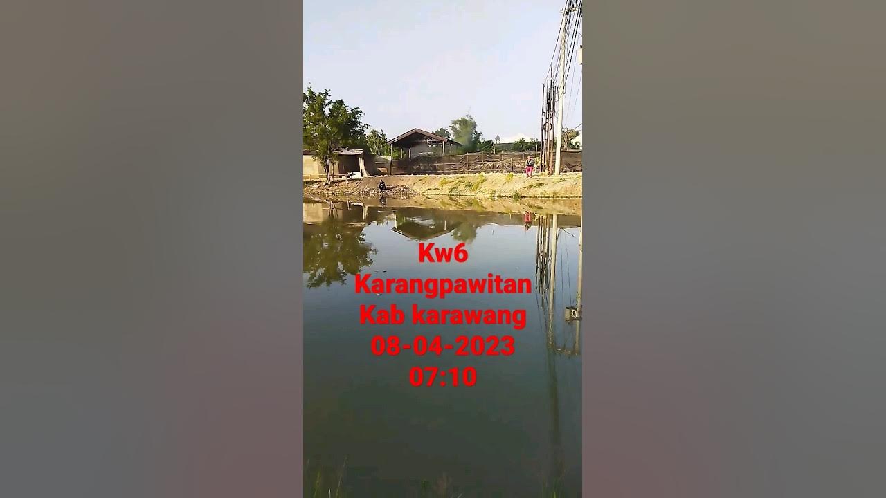 kw6 karangpawitan kab karawang cek air sudah bening #fishing #mancingmania #shorts #short #fyp ...
