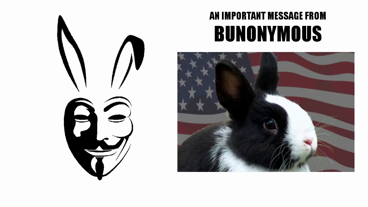 Hannah For President Bunonymous Announcement - YouTube