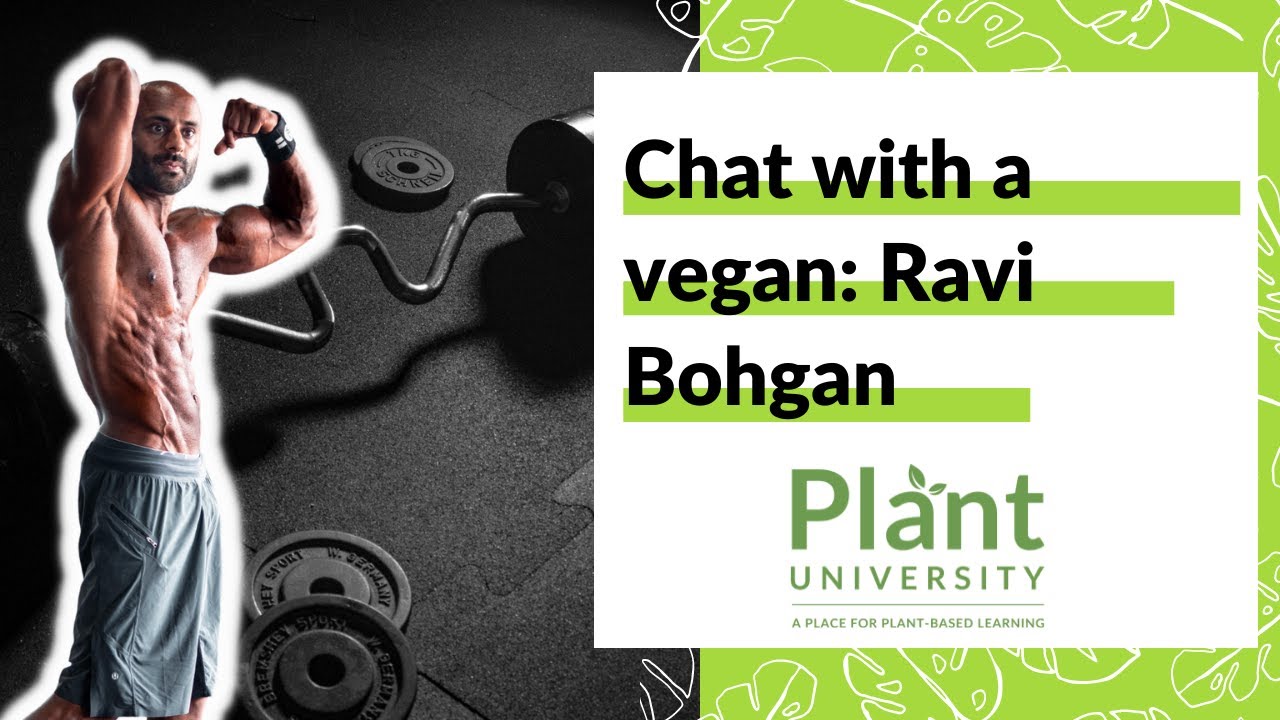 Chat with a vegan: Ravi Bohgan, entrepreneur, body builder, and ...