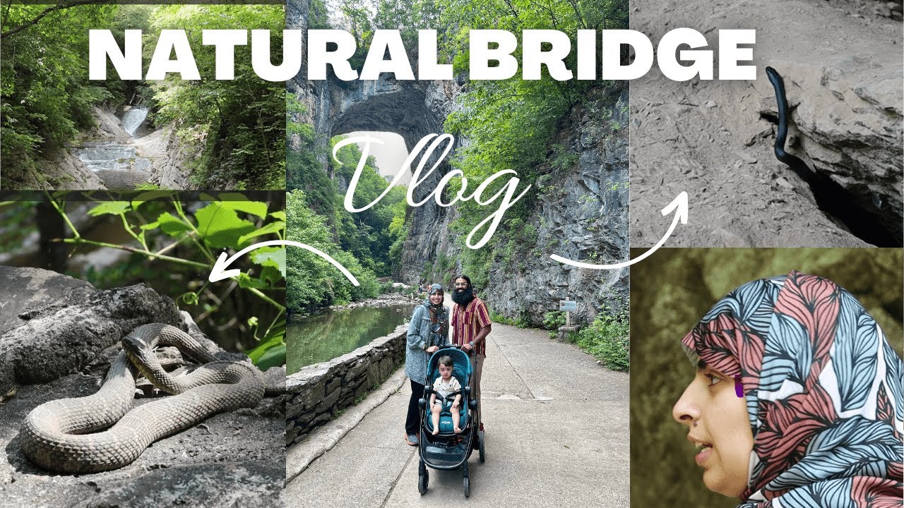 Come With US On Our Hiking Adventures! | Wild Snakes! | Natural Bridge ...