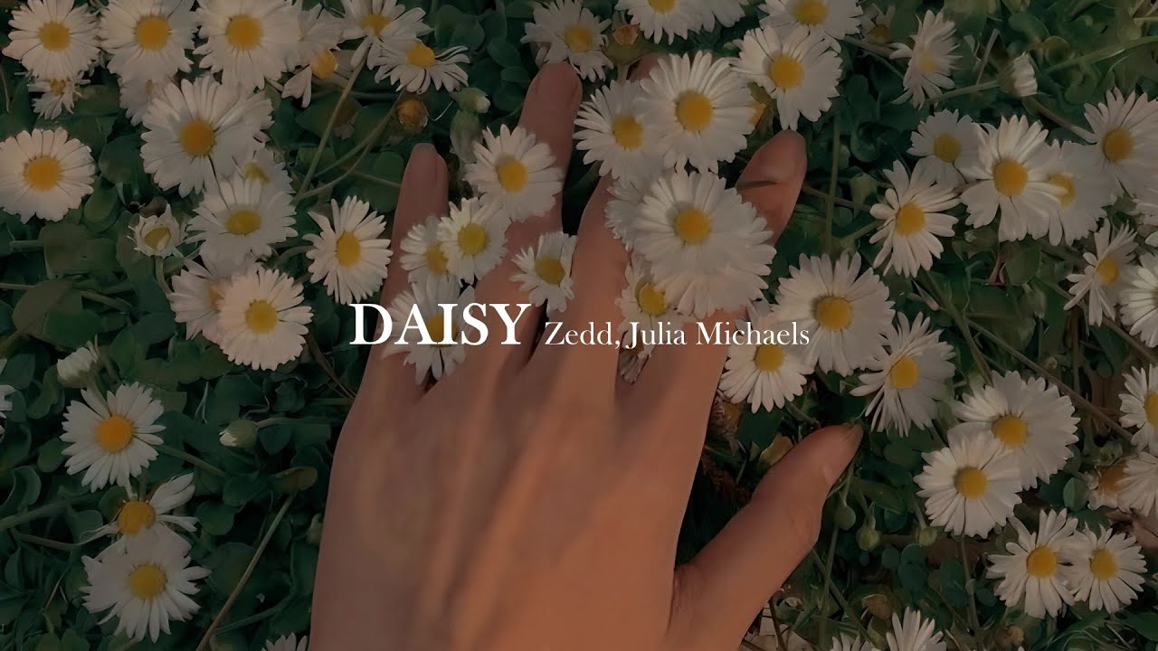 Zedd, Julia Michaels - Daisy [traducida al español] - YouTube