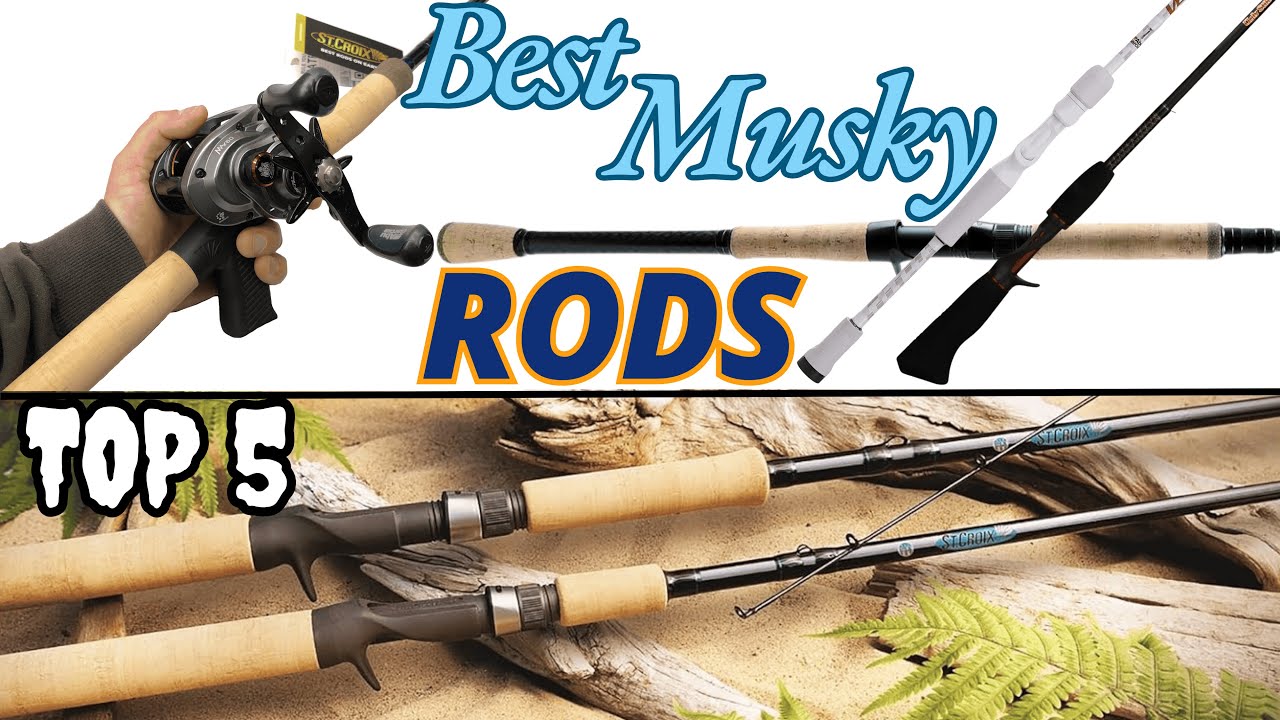 Top 5 Best Musky Rods for Every Angler! - YouTube
