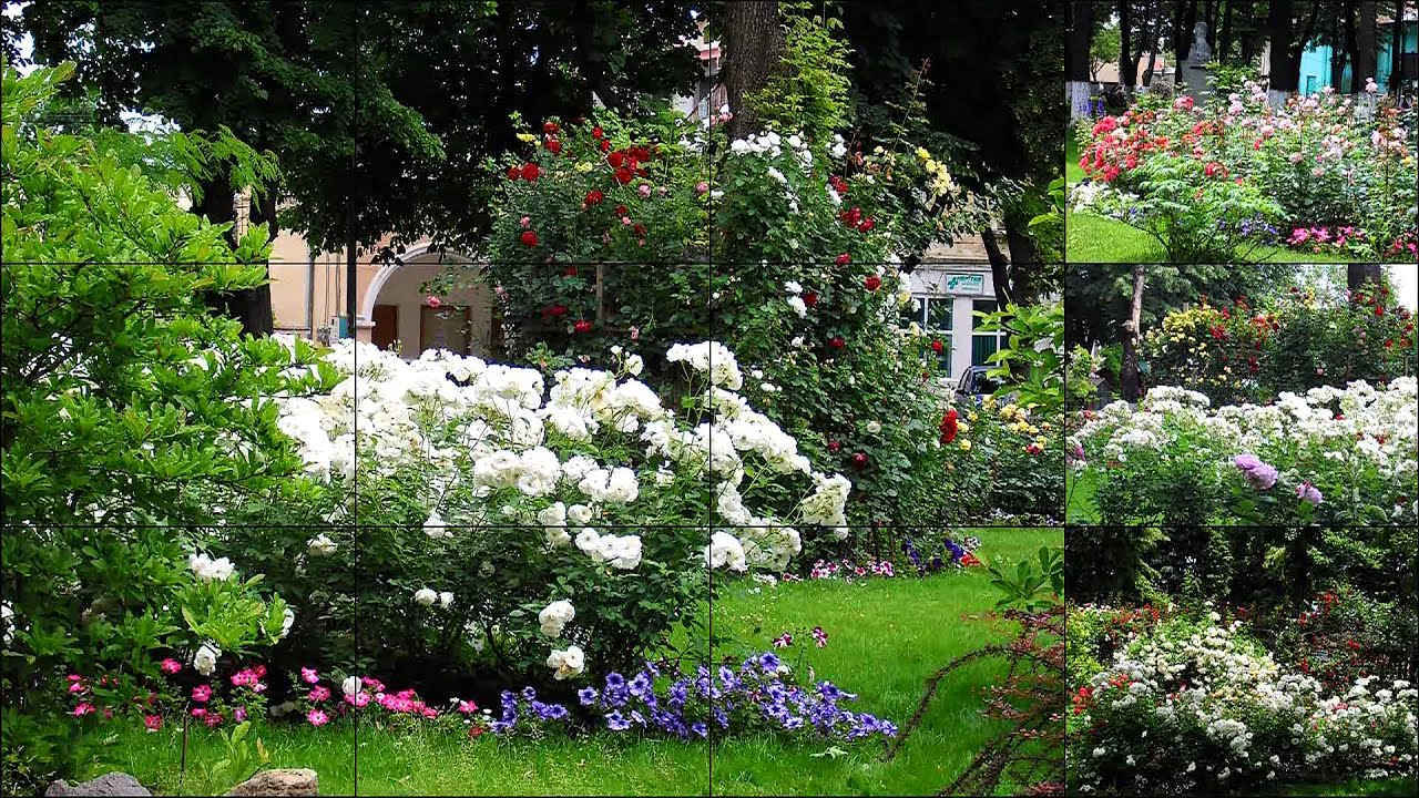 TECUCI PARK 2012 c - YouTube