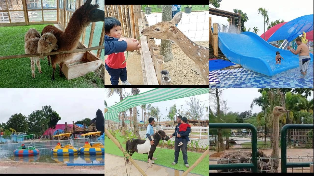 hewan hewan di Batam Zoo Paradise - YouTube