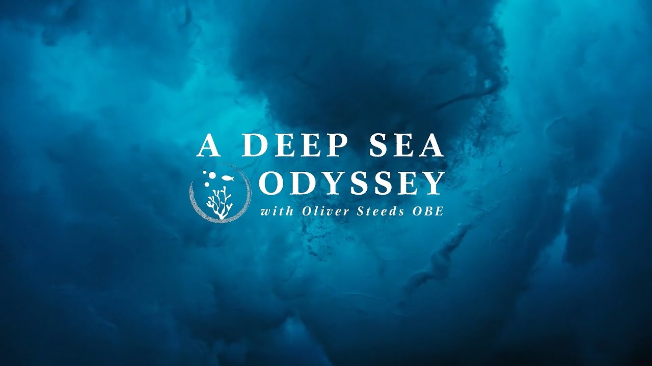 A Deep Sea Odyssey with Oliver Steeds at Vakkaru Maldives - YouTube