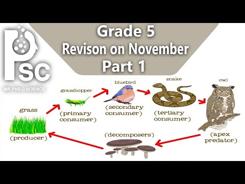 Science . Grade 5. Revision November. حصرياً أقوى مراجعة ساينس لمنهج ...