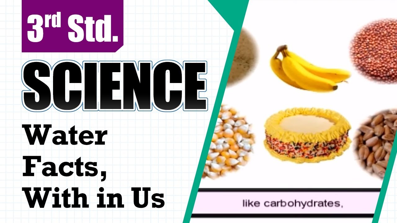 Water || Facts,With in Us || 3rd Std Science || Regular Activities ...