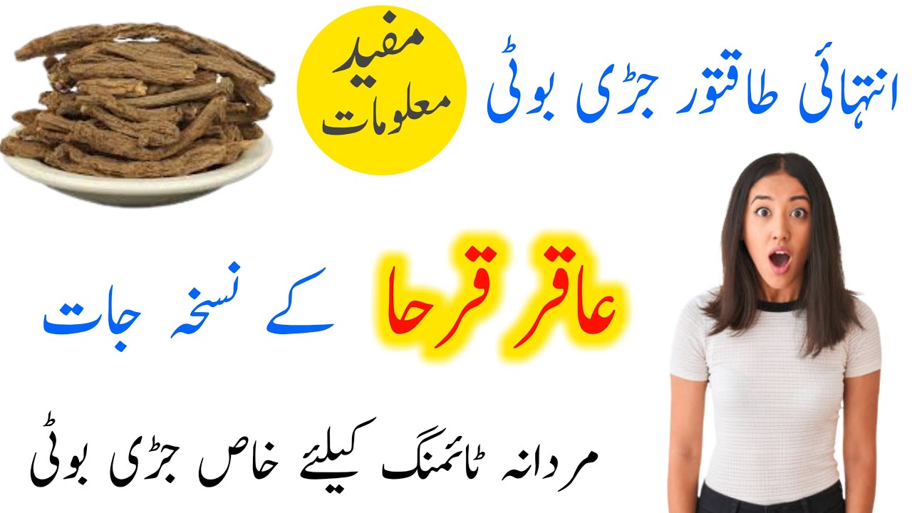 Akarkara ke fayde or nuqsanat || health benefits of pellitory roots ...