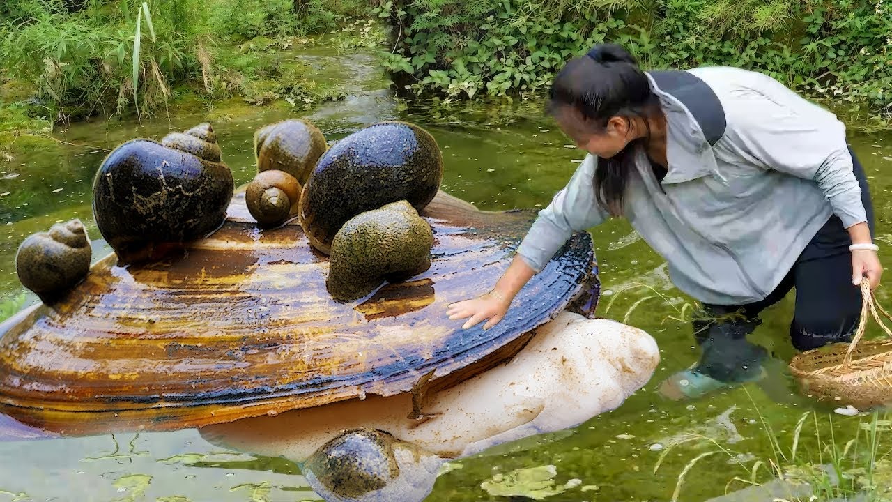The big clam is covered with long-lived snails, and the pearls inside ...