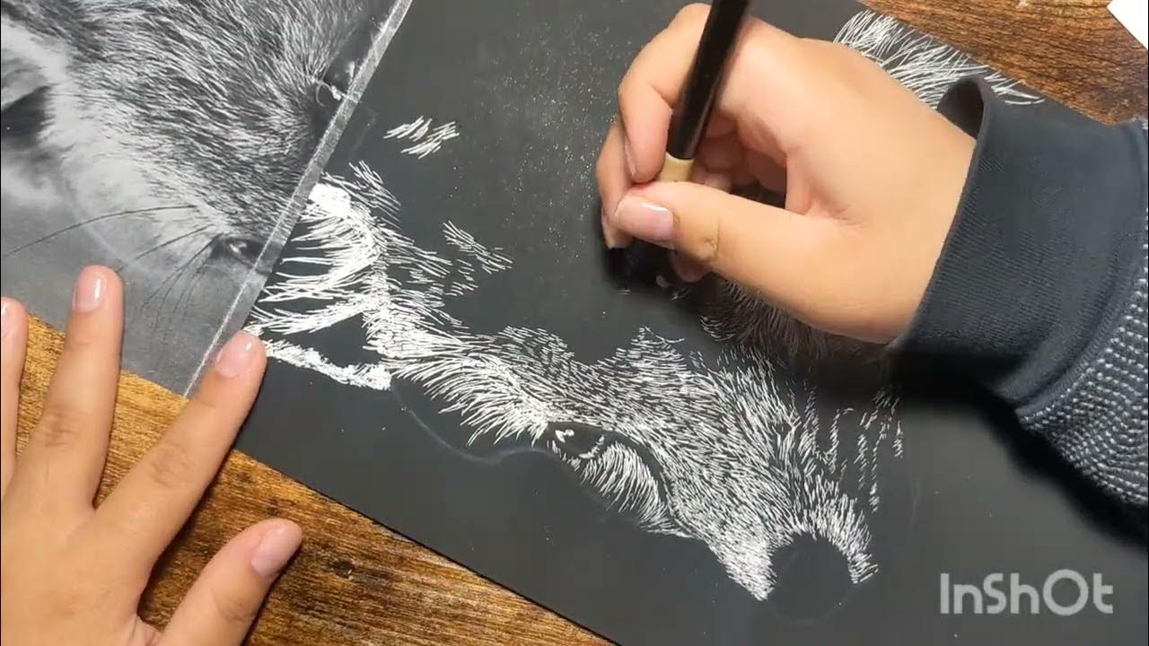 Scratchboard Fox 🦊 - YouTube