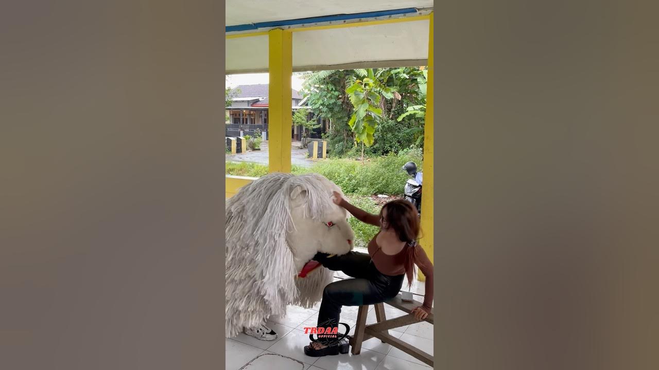 Cewe cantik dimakan can macanan - YouTube