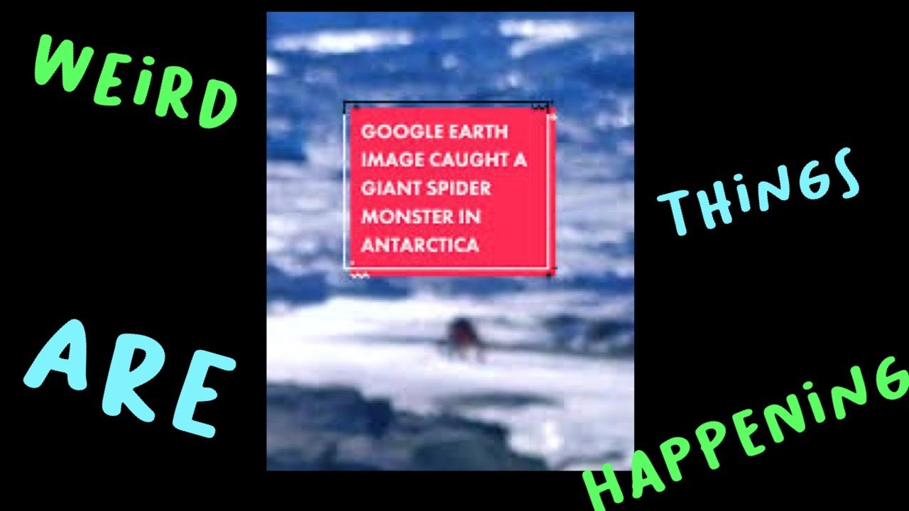 Things Are Starting To Get Weird Out Here!!! - YouTube