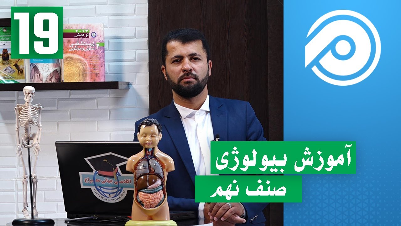 آموزش بیولوژی صنف نهم درس 19 Youtube