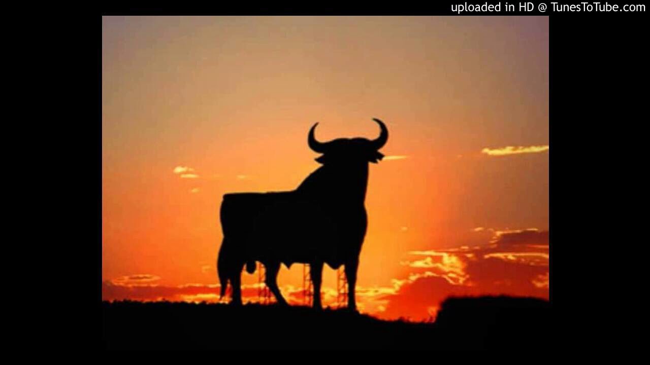 Torro Barroso - YouTube