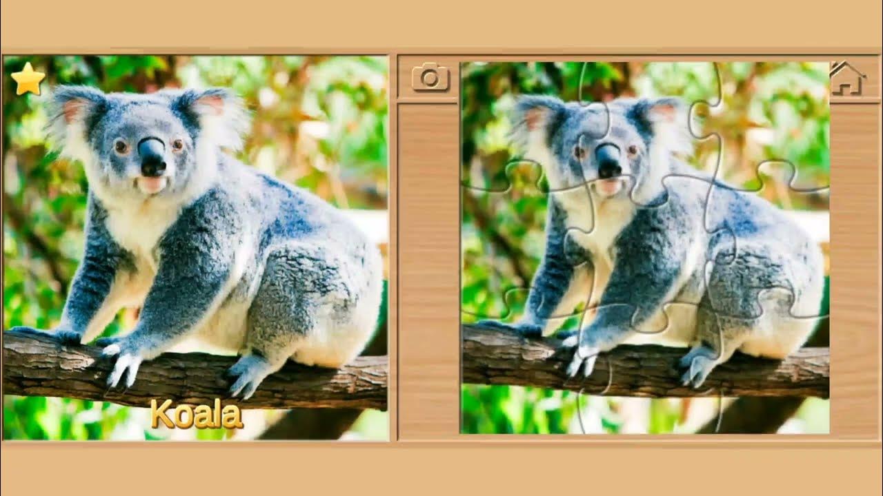 Animal Puzzles for Kids | Koala Puzzles for Kids - YouTube