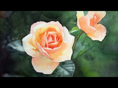 Watercolor painting of roses approach 1