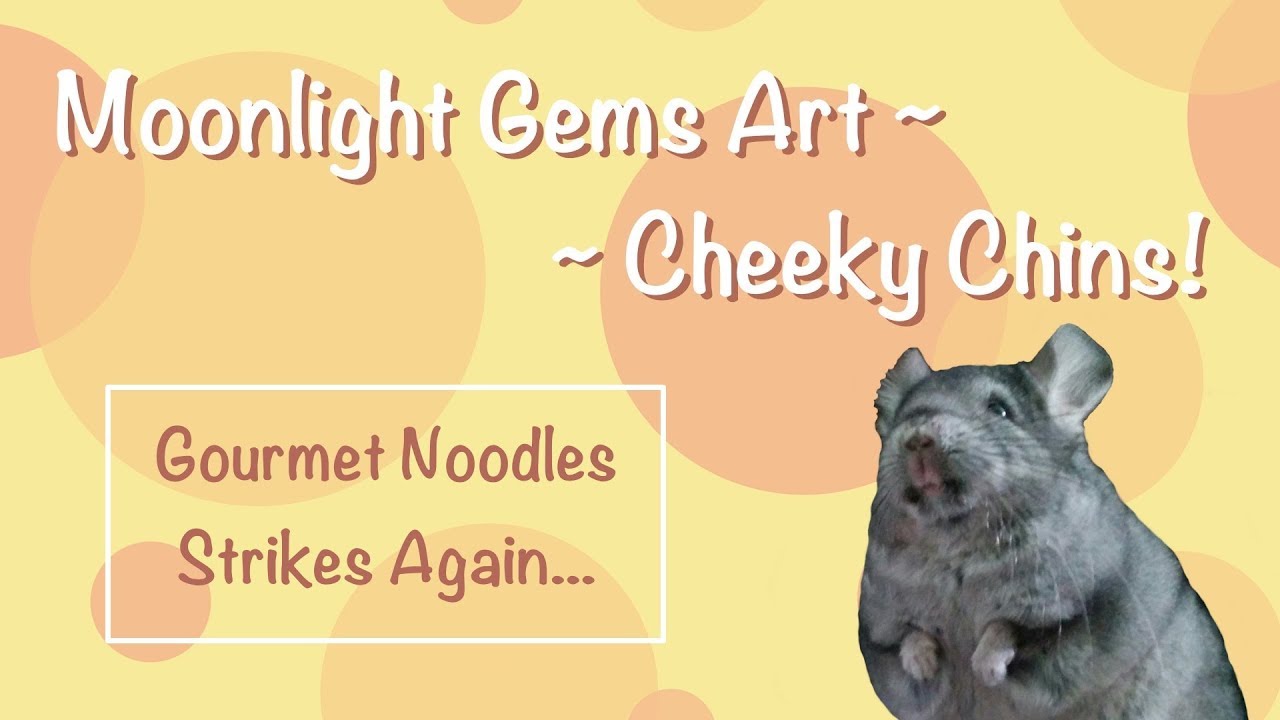 Cheeky Chins - Gourmet Noodles Strikes Again! - YouTube