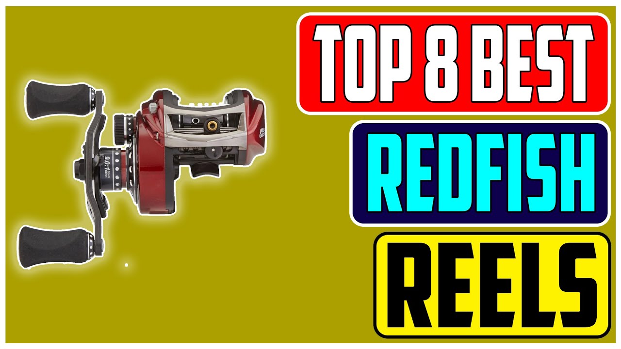Top 8 Best Baitcasting Reels for Redfish Enthusiasts In 2024 - YouTube