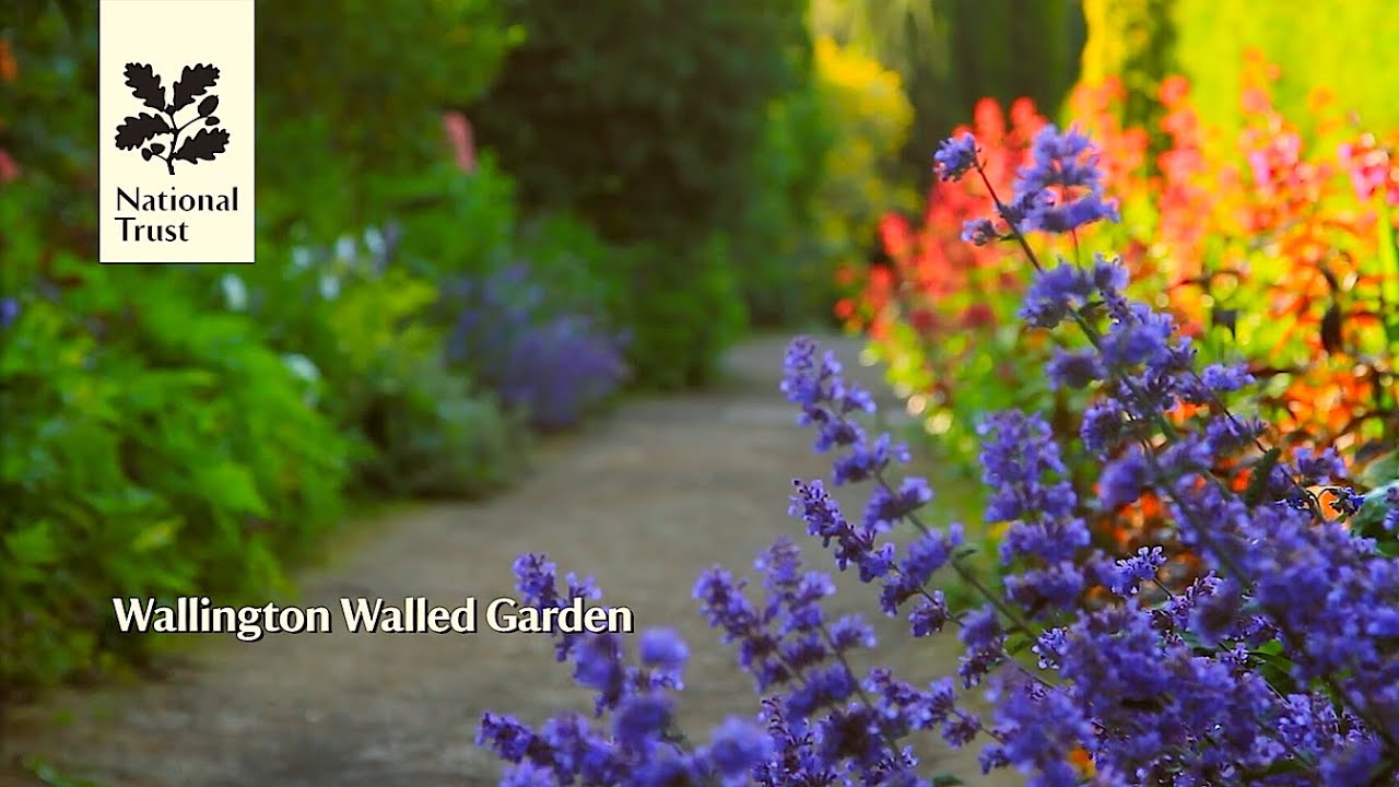 Wallington Walled Garden | National Trust Garden | - YouTube