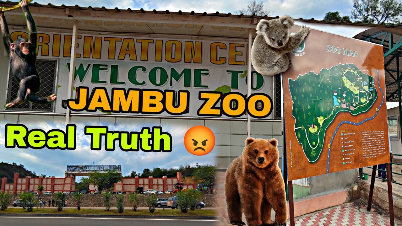 JAMBU ZOO 😱 Watch before visiting 😡😡 @FormalityVlogs #zoo #animals # ...