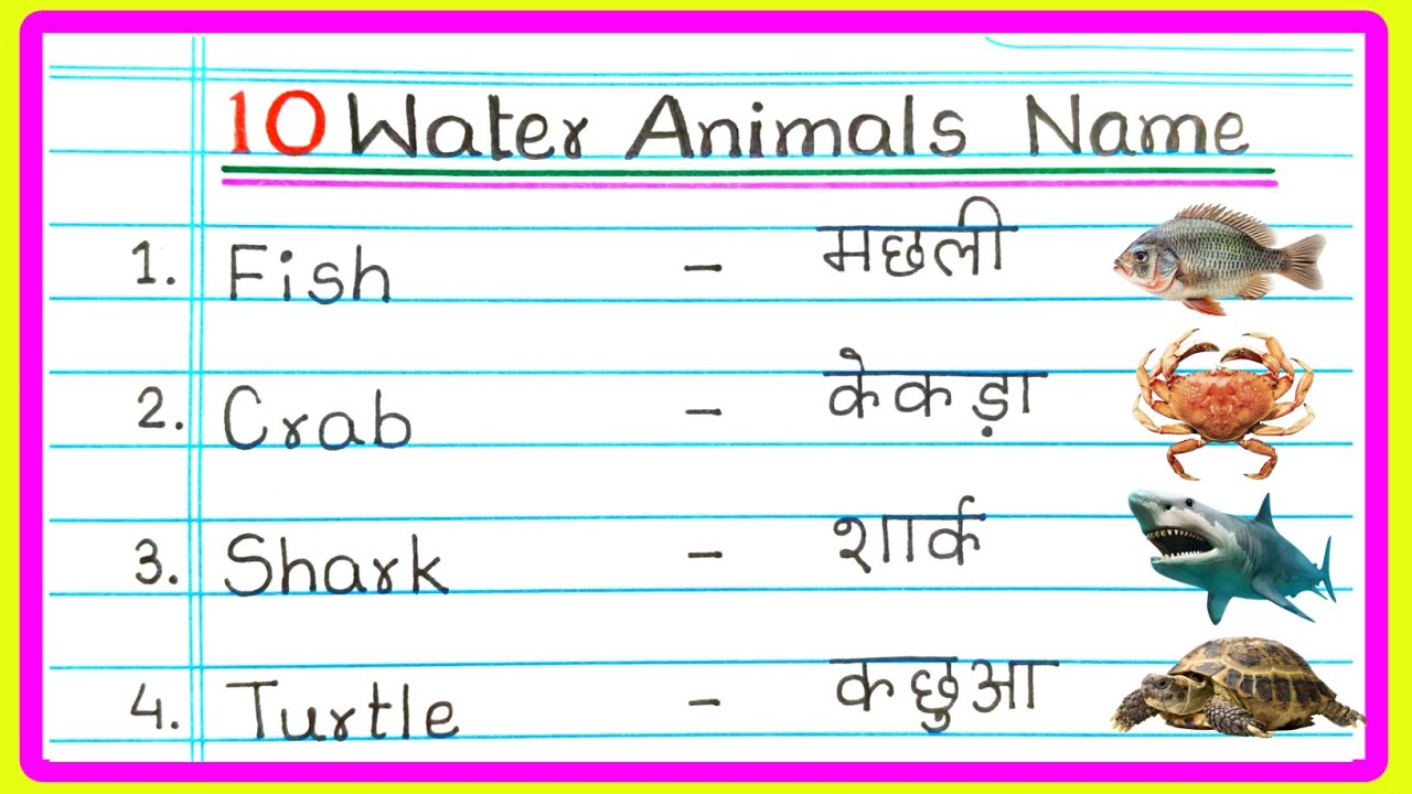 10 Water Animals Name in English and Hindi/Water animals name/ जलीय ...
