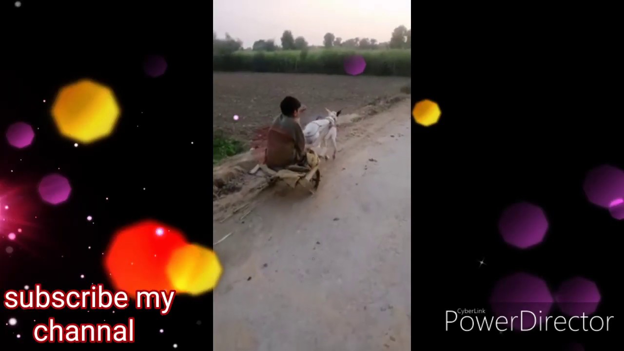 Life hake. - YouTube