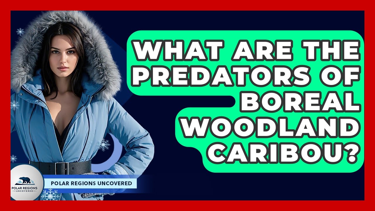 What Are The Predators Of Boreal Woodland Caribou? - Polar Regions ...