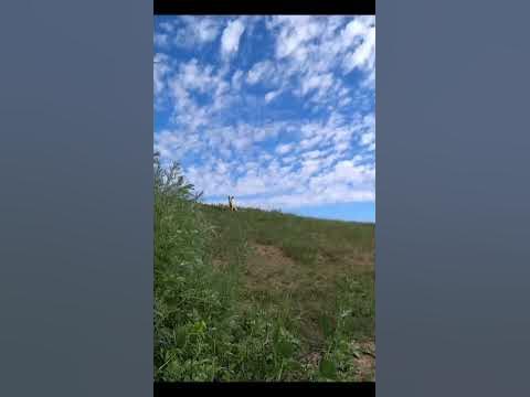 Контент для взрослых - YouTube