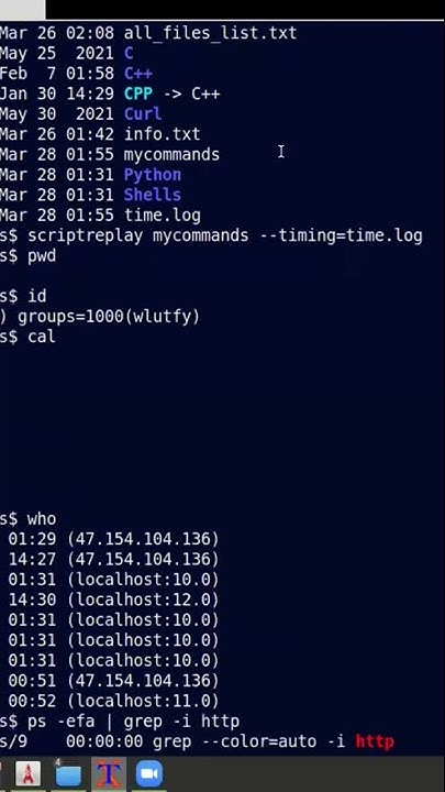 Linux Use ‘screenreplay’ to replay the captured output with time stamp of the log file and ...
