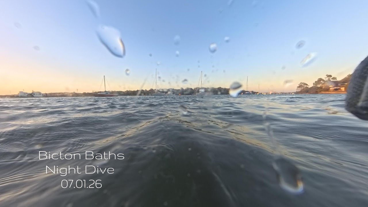 Bicton Baths Night Dive 07 01 26 - YouTube