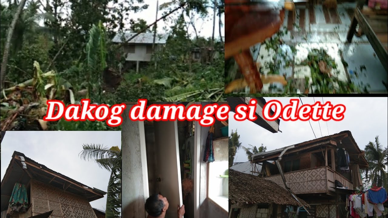 Nanghinlo si Odette/dakog damage/pagkapait😭😭😭 - YouTube