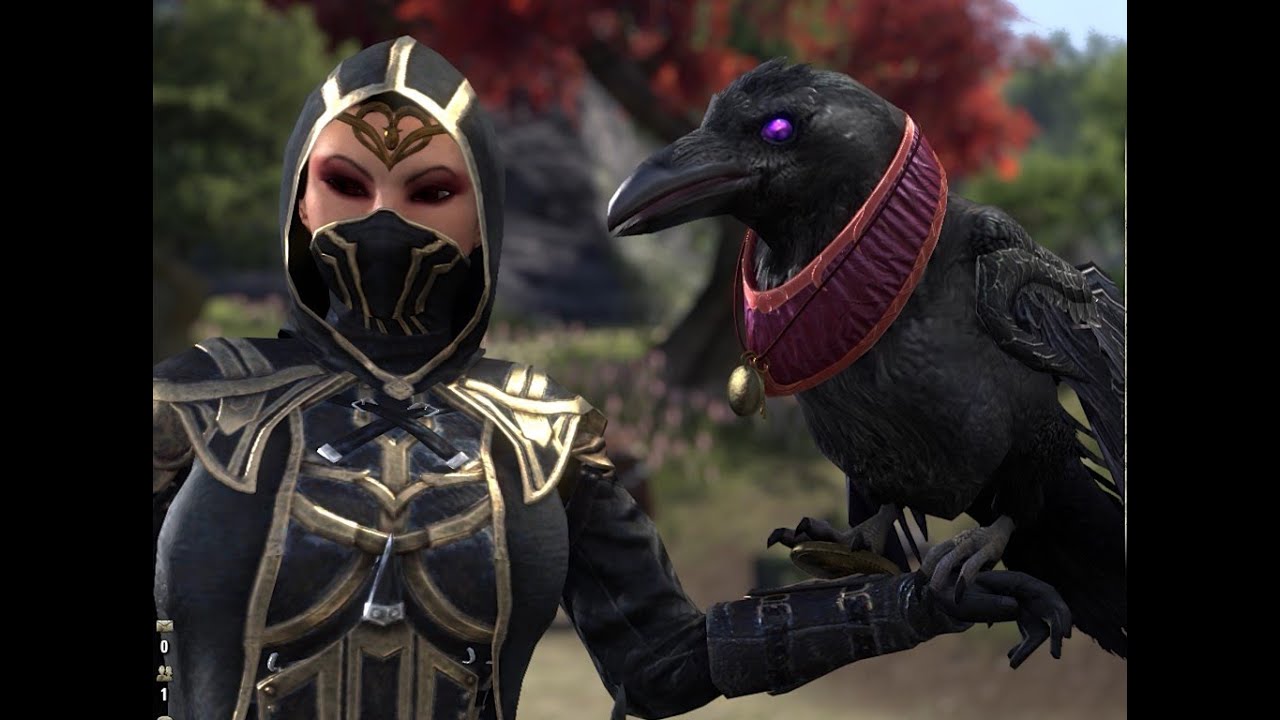 Baron Jangleplume the Banker - Crow Banker - Elder Scrolls Online -July ...