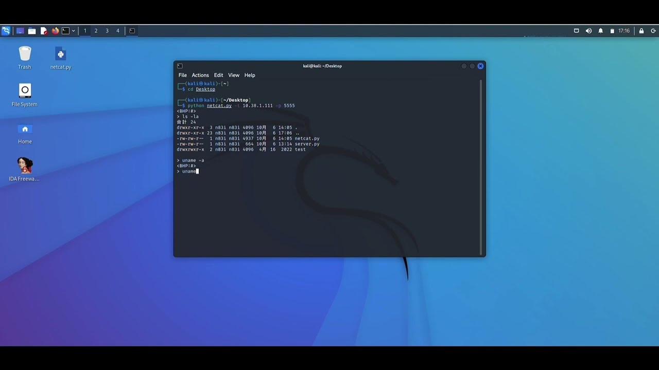 netcat.py from Black Hat Python 2nd Edition. - YouTube