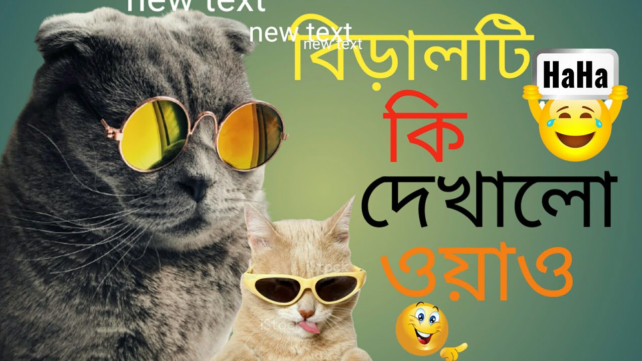বিড়ালের নিউ মিউ ফ্যাশন সো bangla funny video 😝😝😝 - YouTube