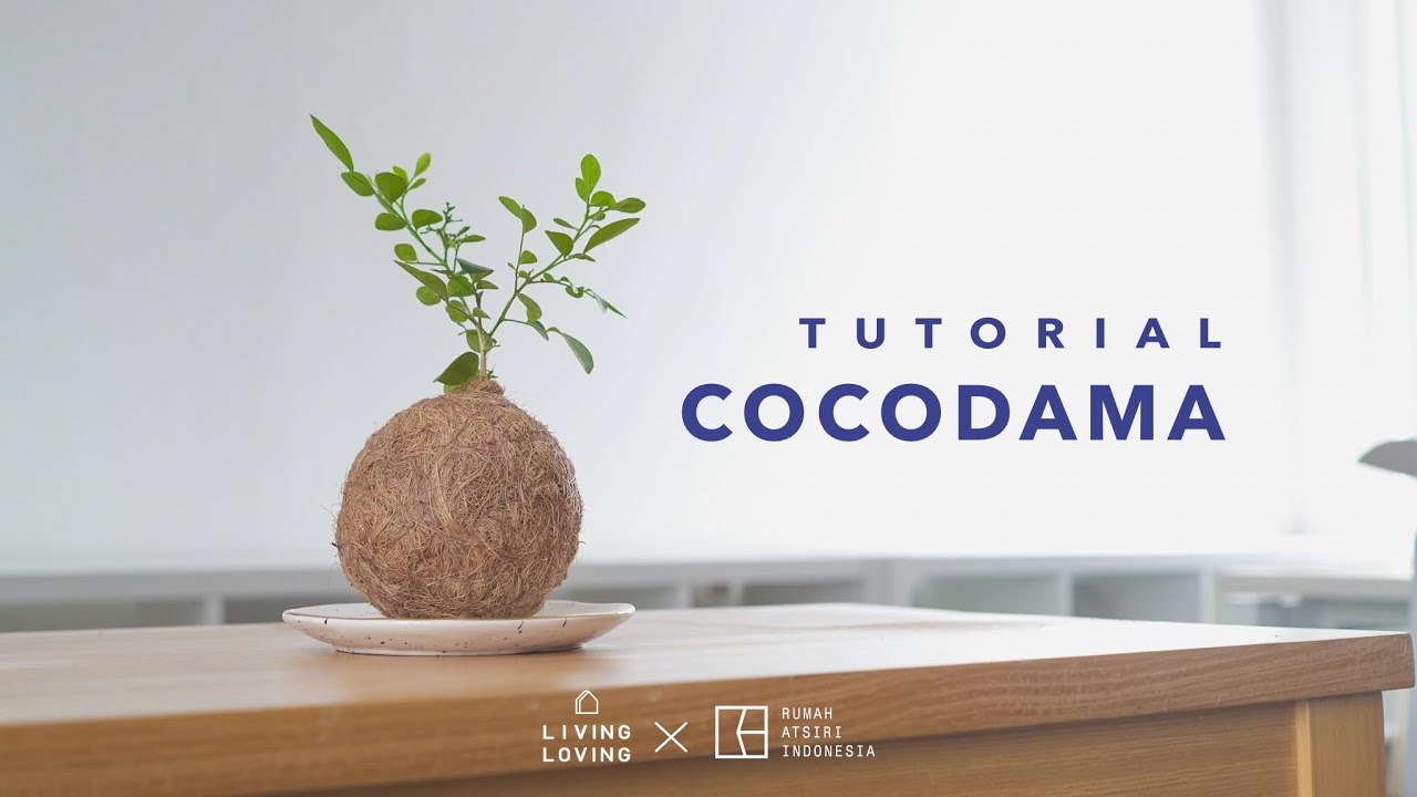 Tutorial Membuat Cocodama - YouTube