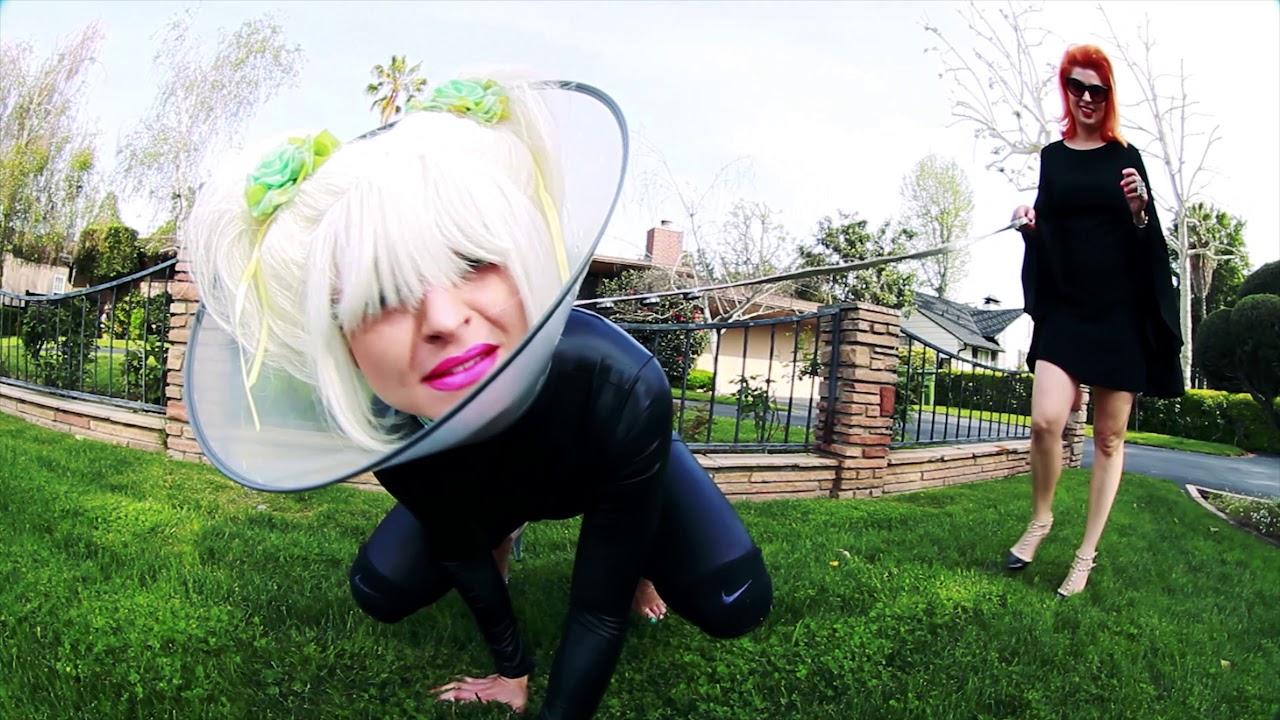 Spring Has Sprung - The Ultimate Dog Tease - YouTube