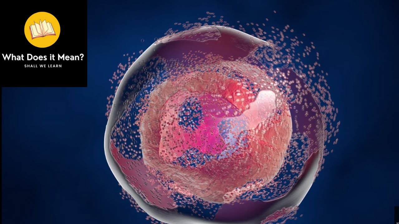 Cell | The Basic Unit Of Life | Biology | By What Does It Mean? - YouTube