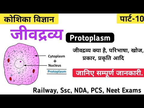 जीवद्रव्य (Protoplasm) | Protoplasm In Hindi | Cell Protoplasm ...