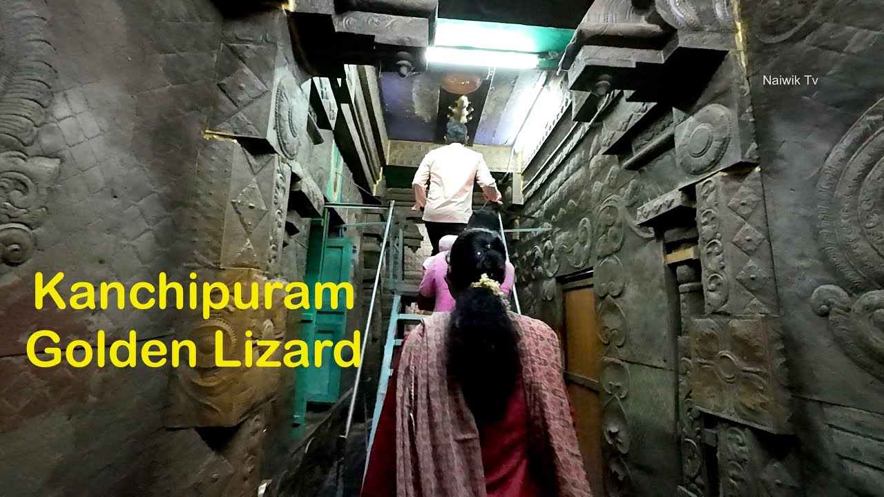 Kanchi Bangaru Balli in Varadharaju swamy temple | Golden lizard ...