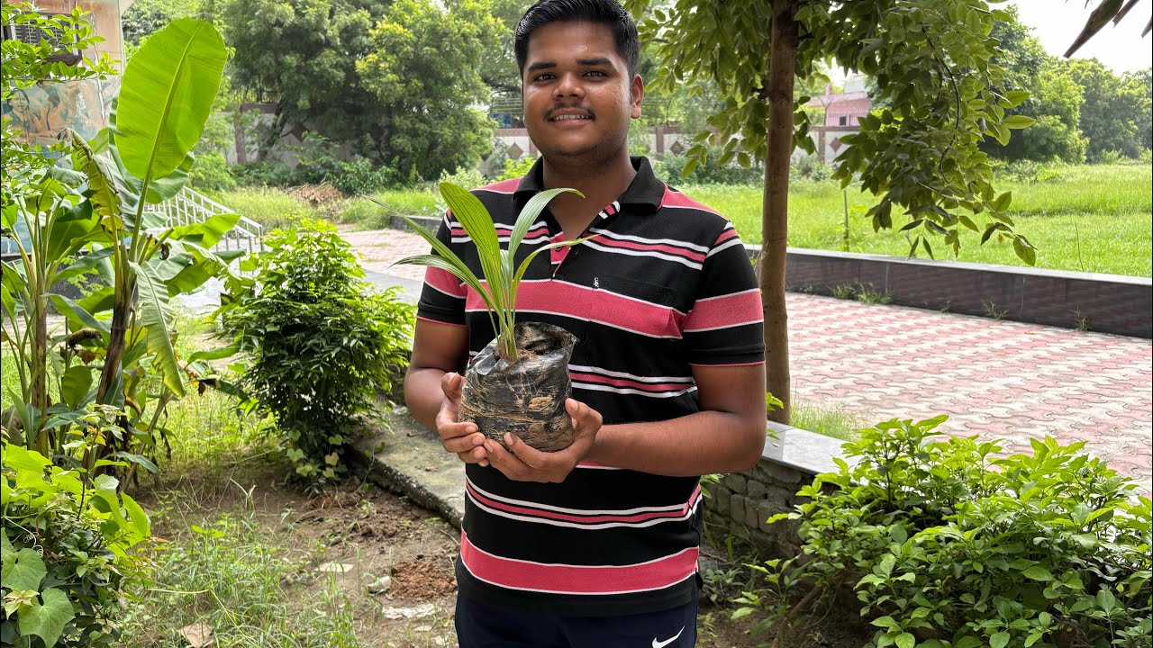 ଗଛଲଗା 🌳 ପାଇଁ special program || Mr rana bhai - YouTube