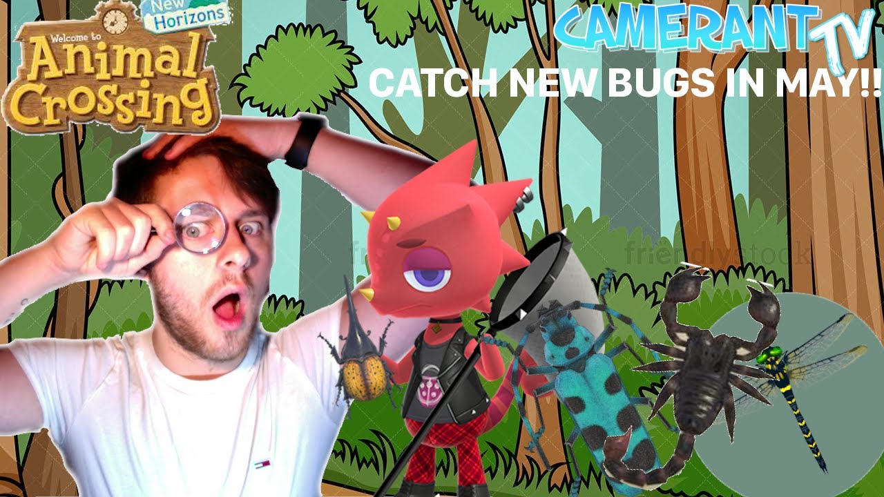 How to Catch New Bugs in May - Animal Crossing: New Horizons - YouTube