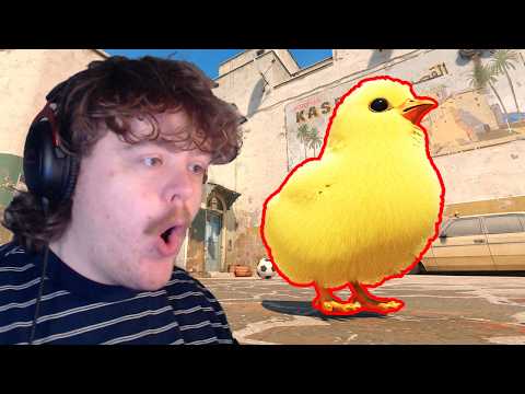 CHECKING OUT NEW CS2 CHICKENS! (INGAME)