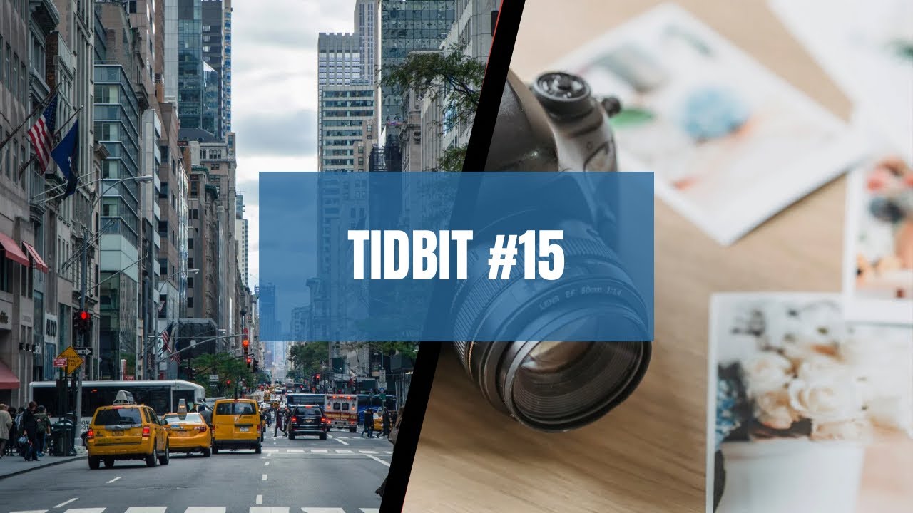 Quirky and Cool Fun Fact | TidBit #15 - YouTube