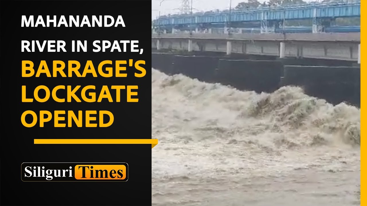 Mahananda river in spate, barrage's lockgate opened - YouTube