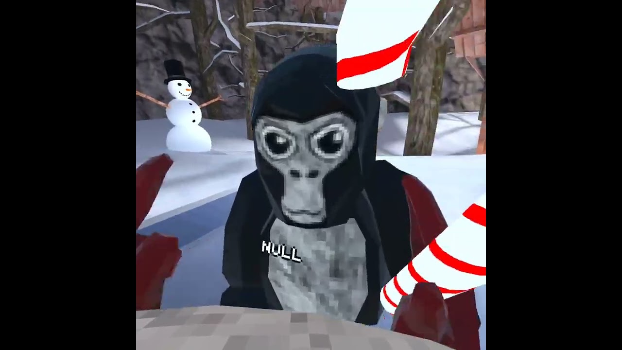 WE FOUND THE RAREST GHOST... PAUL (gorilla tag creepypasta hunting #9 ...