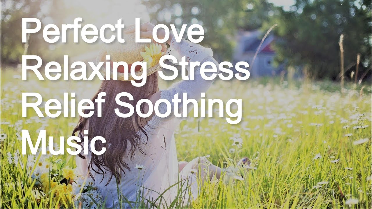 Perfect Love Relaxing Meditation Stress Relief Soothing Mindfulness ...